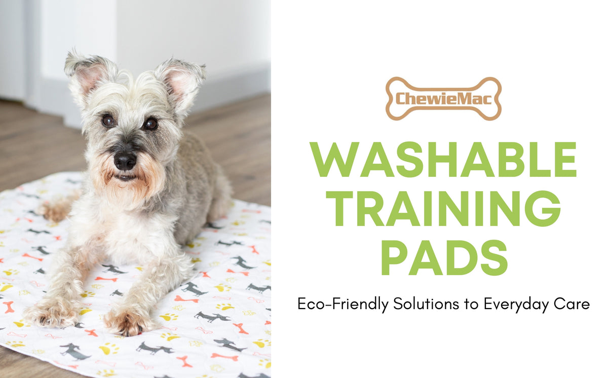 Premium Washable Reusable Pet Pee Pads | Large House Training Mats 28 ...