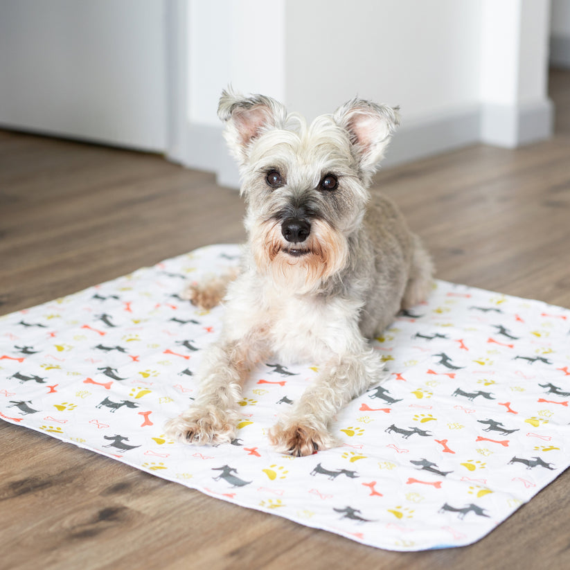 Premium Washable Reusable Pet Pee Pads | Large House Training Mats 28 ...